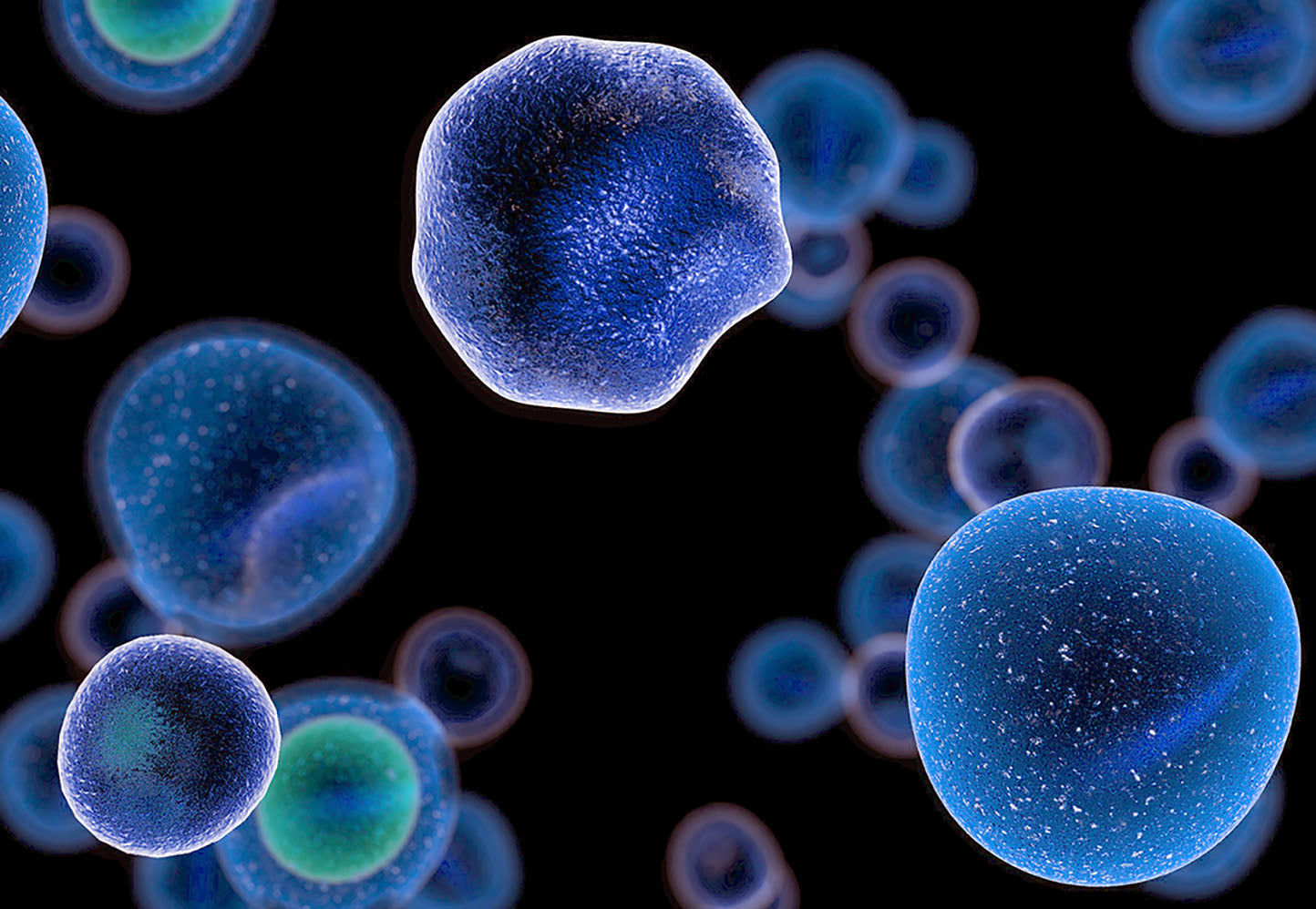 Highlighting aCella-TOX
