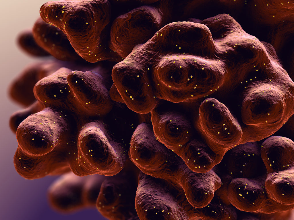 An Introduction to Pyroptosis! | ImmunoChemistry Technologies