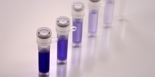 Sample and Assay Diluents | ImmunoChemistry Technologies