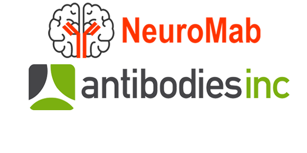 NeuroMab Mouse Monoclonal Antibodies Official Supplier