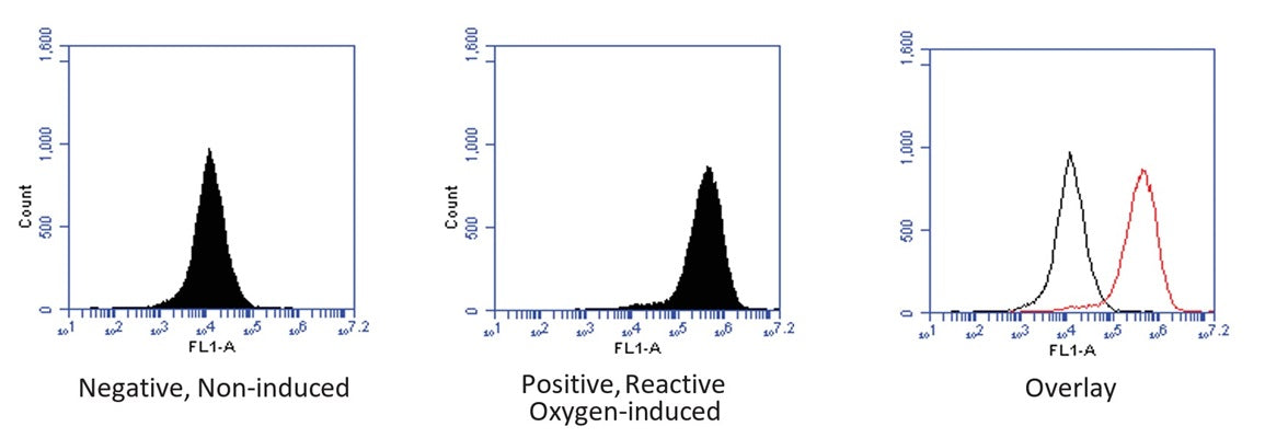 Intracellular Total ROS Activity Assay | 9144