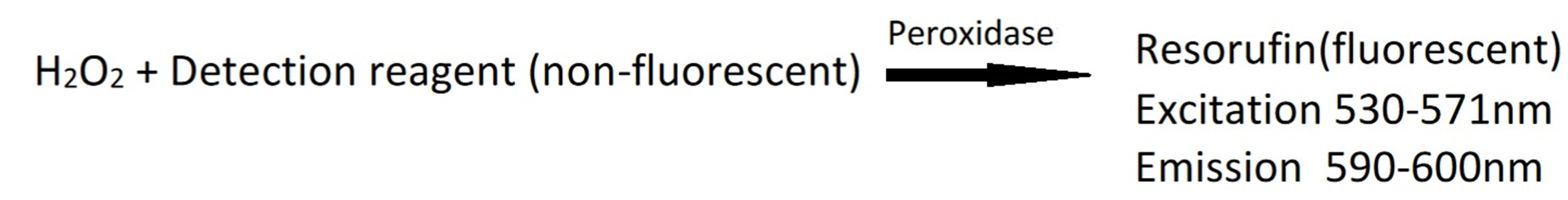 Hydrogen Peroxide Detection/Peroxidase Detection Kit